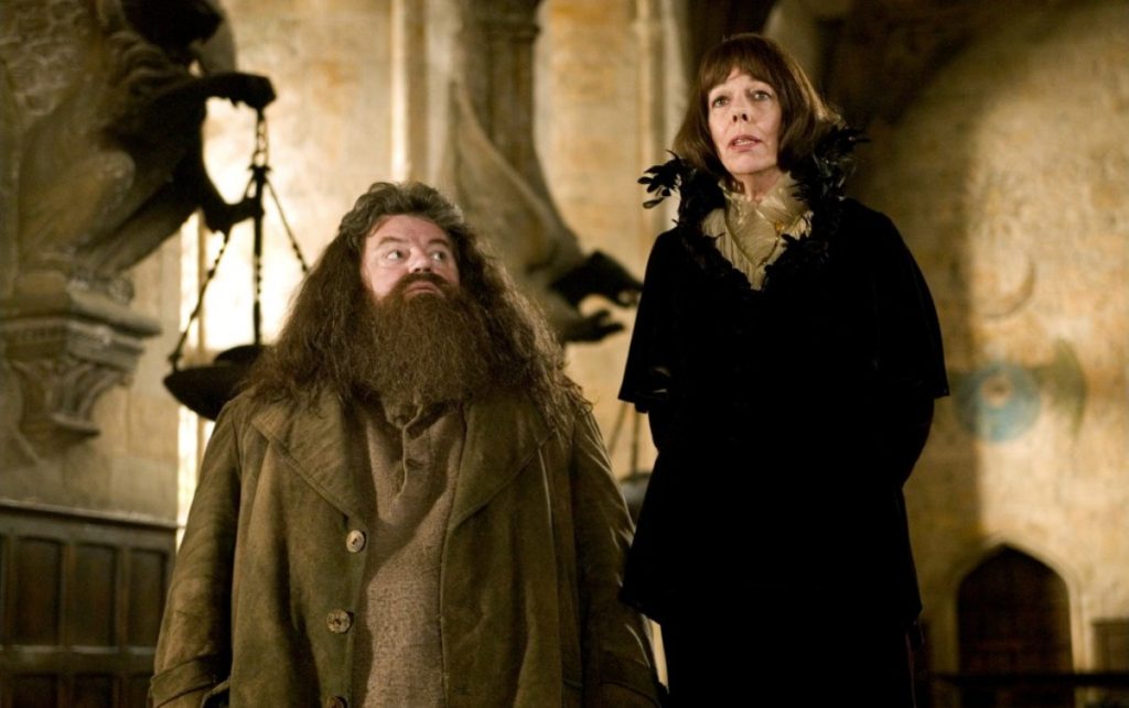 Harry Potter: 7 Things You Never Knew About Hagrid - Page 2 of 4 ...