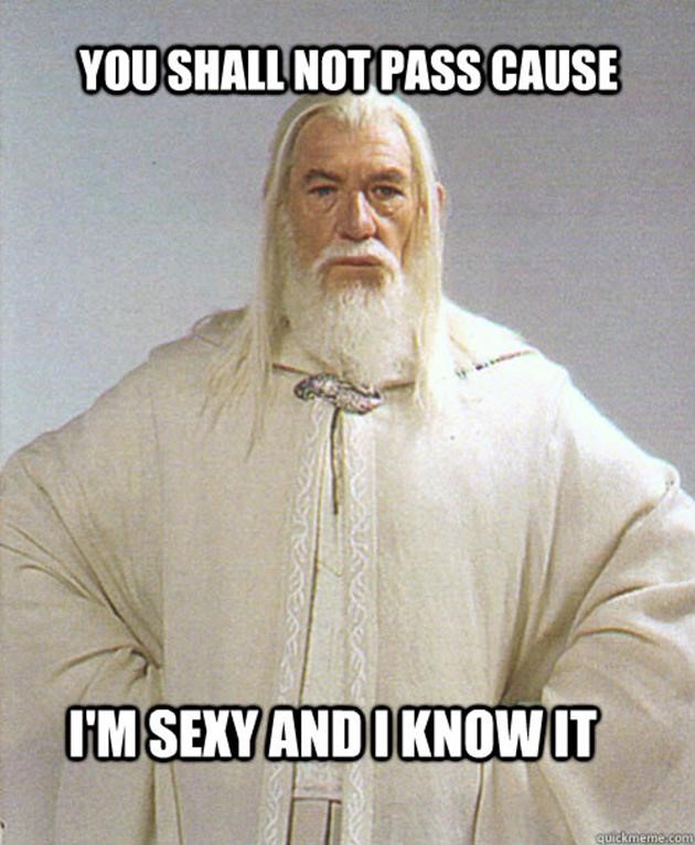 10 Hilarious Memes on GANDALF From Lord of the Rings - QuirkyByte