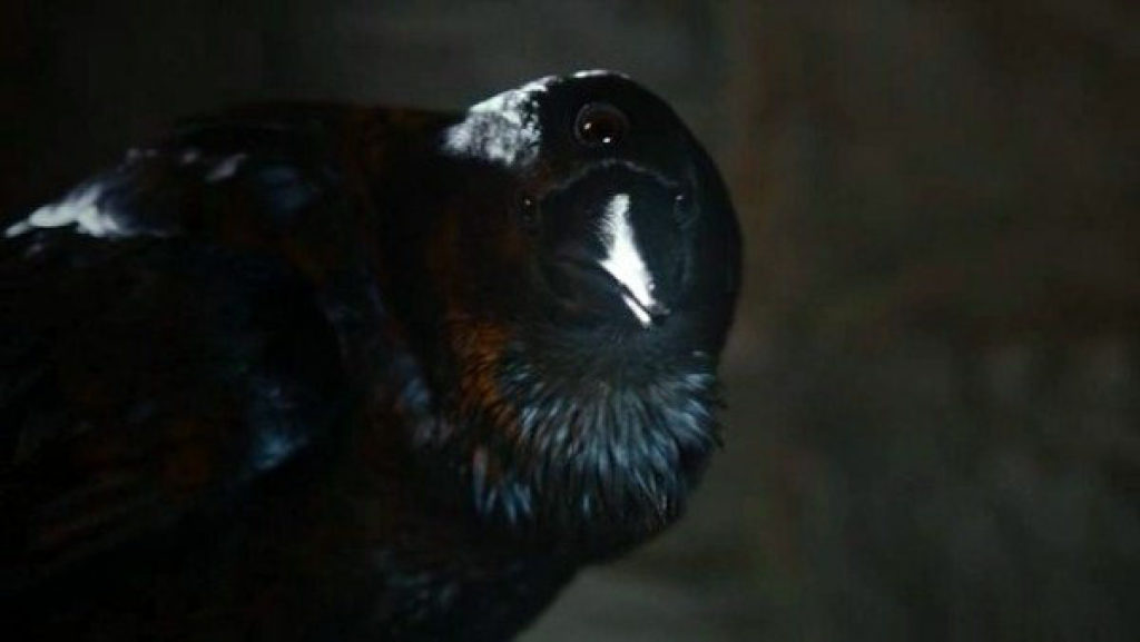 10 Things To Know About The Three Eyed Raven - QuirkyByte