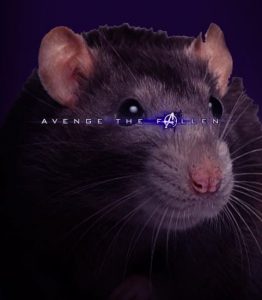 The Avengers: Endgame Rat May’ve Appeared Previously in the MCU