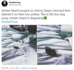 Pictures of When Amber Heard Allegedly Pooped on Johnny Depp’s Bed Have ...
